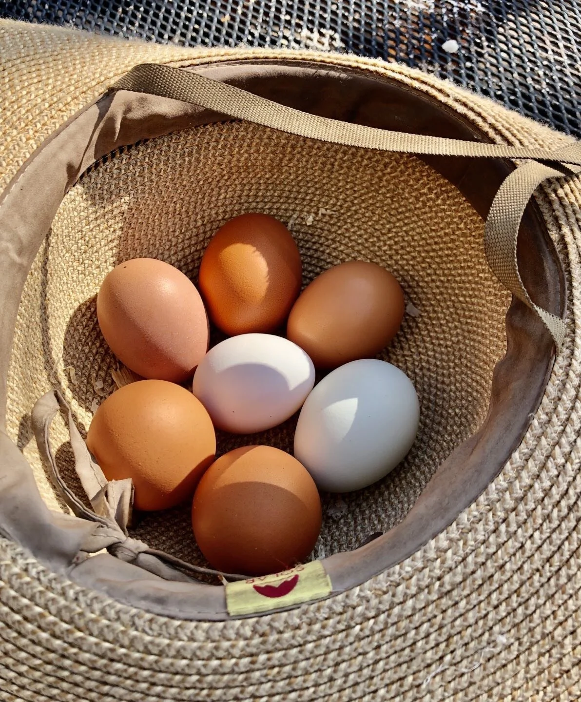 PINOLI FARMHOUSE KITCHEN