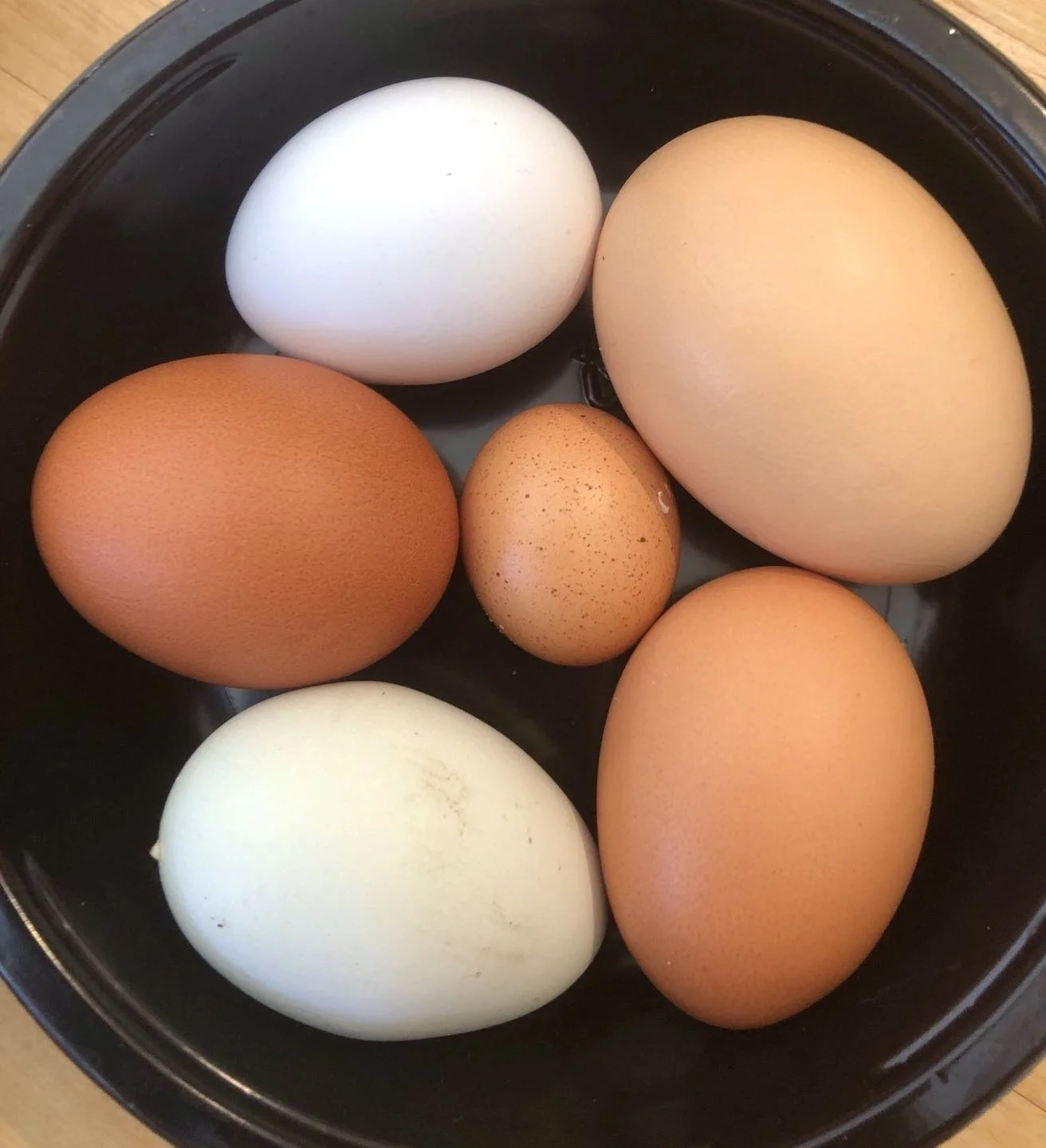 PINOLI FARMHOUSE KITCHEN