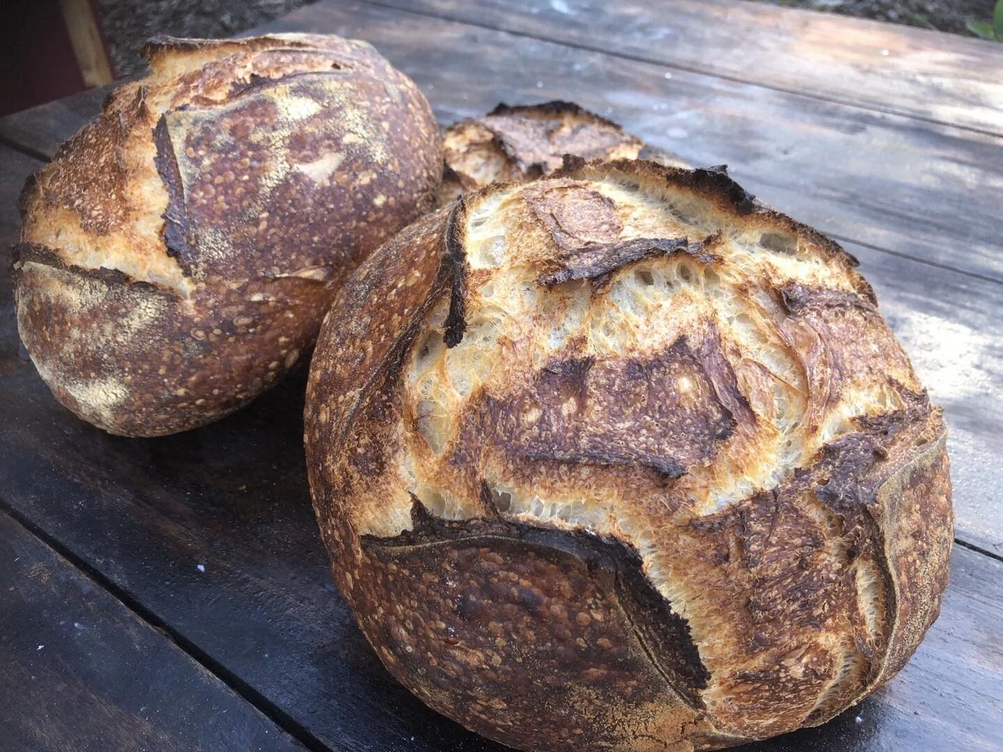 Pinoli farmhouse kitchen