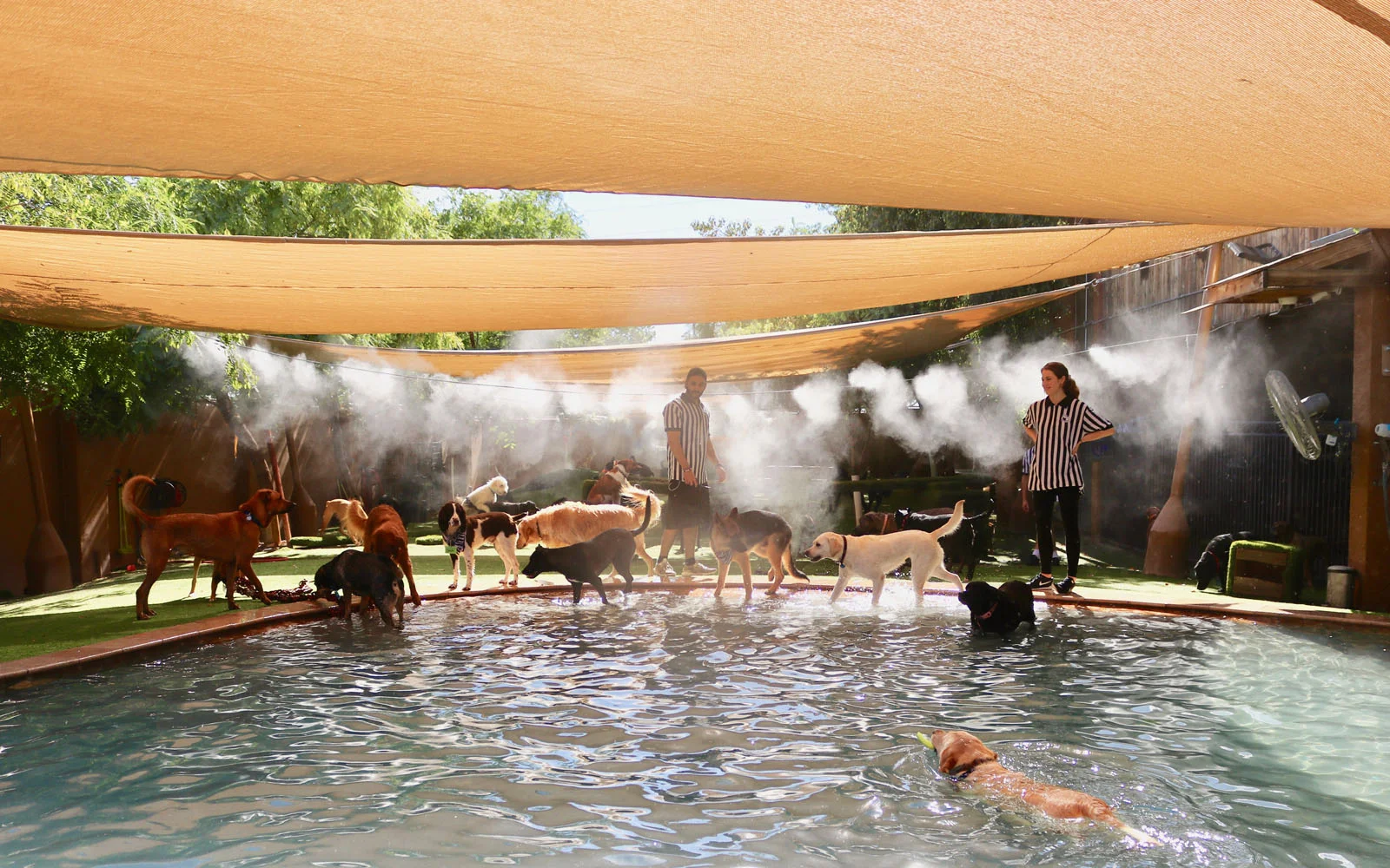 We have more amenities and things for the dogs to do than any other ...