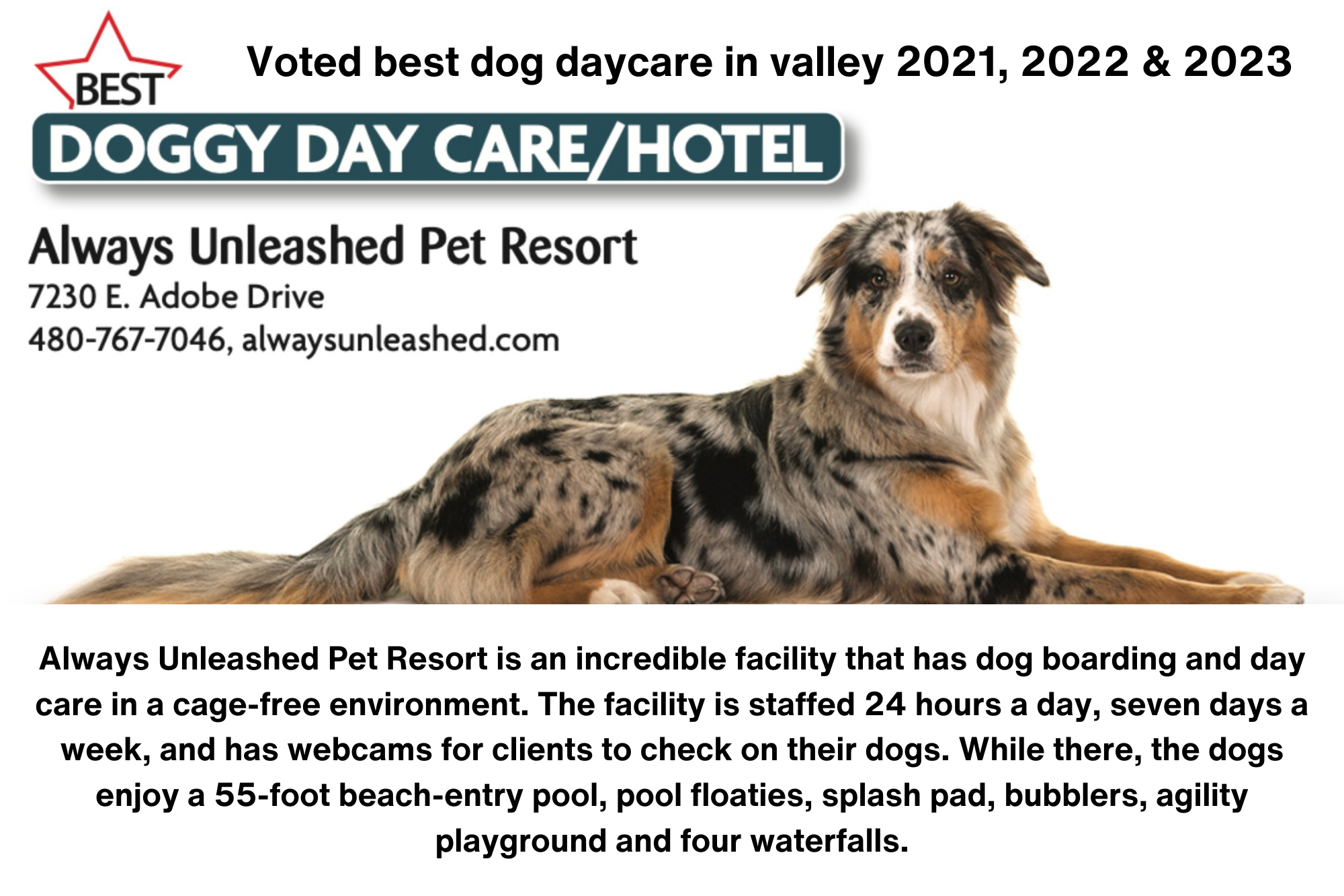 Hound Town is big dog pricing for doggy daycare and cage free boarding ...