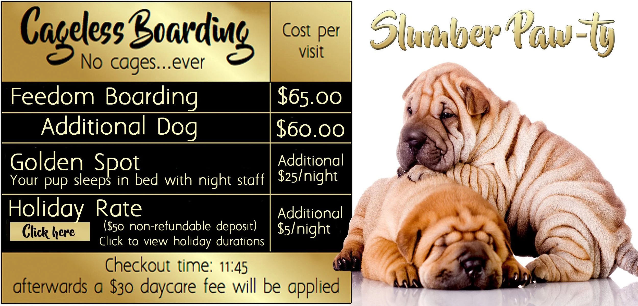 How Much Should I Charge For Boarding A Dog