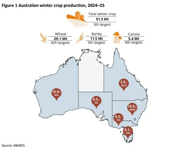 Strong Crops Predicted — DOM Distribution