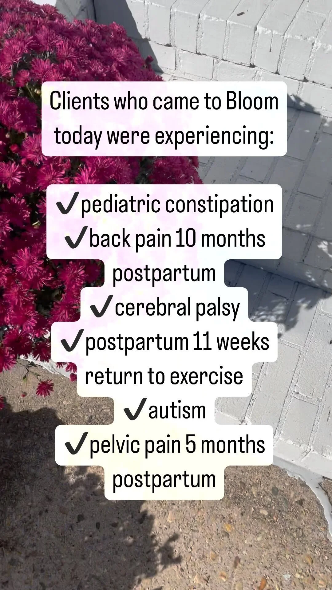 The 5 S's: Functions of the Pelvic Floor — Bloom Physical Therapy and Wellness - Berlin, MD