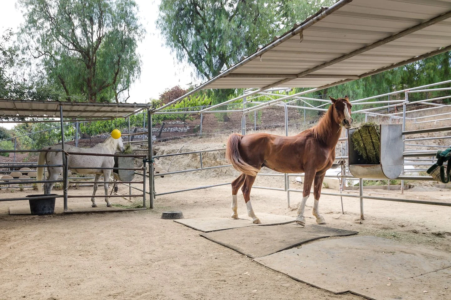 TWENTY NINE OAKS RANCH