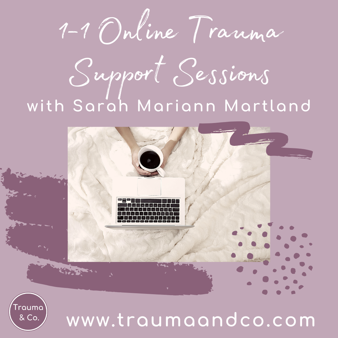 1-1 Trauma Support Sessions — Trauma & Co.