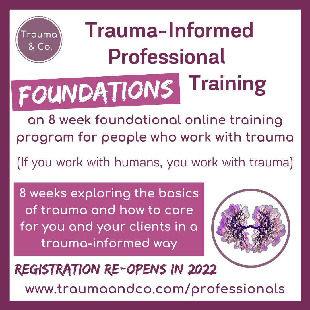Trauma-Informed Professionals Training — Trauma & Co.