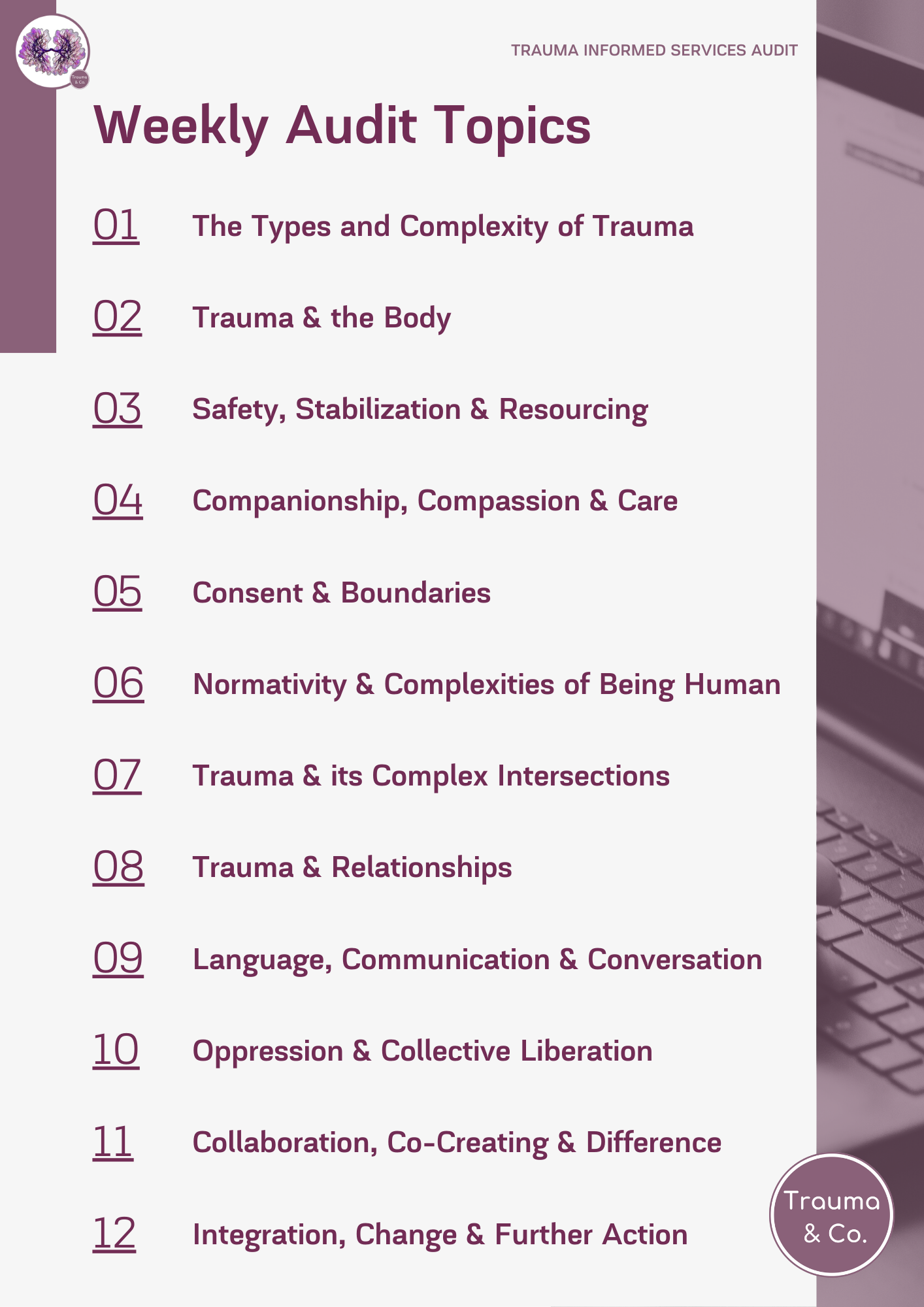 Trauma-Informed Services Audit — Trauma & Co.