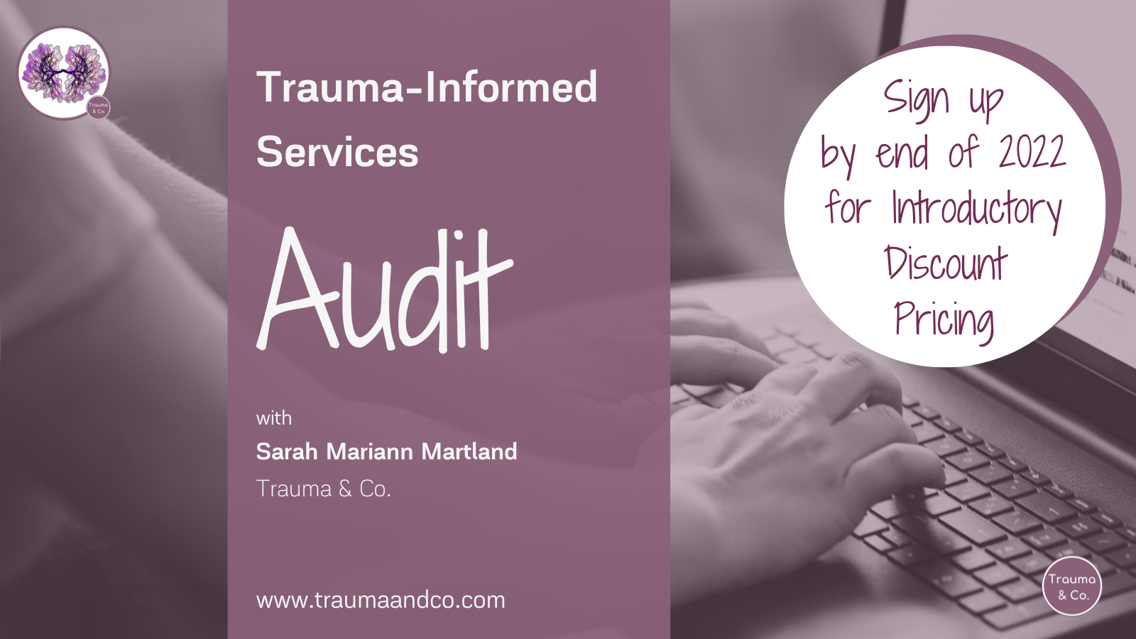 Trauma-Informed Services Audit — Trauma & Co.