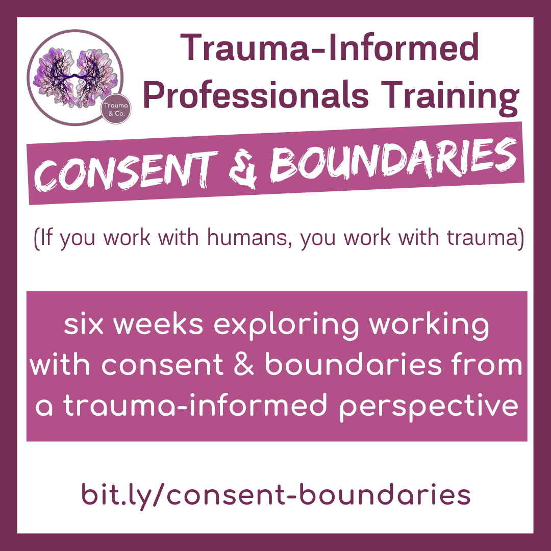 Trauma-Informed Professionals Training — Trauma & Co.