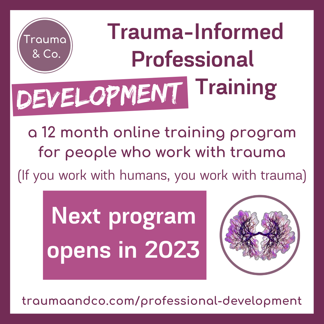 Trauma-Informed Professionals Training — Trauma & Co.