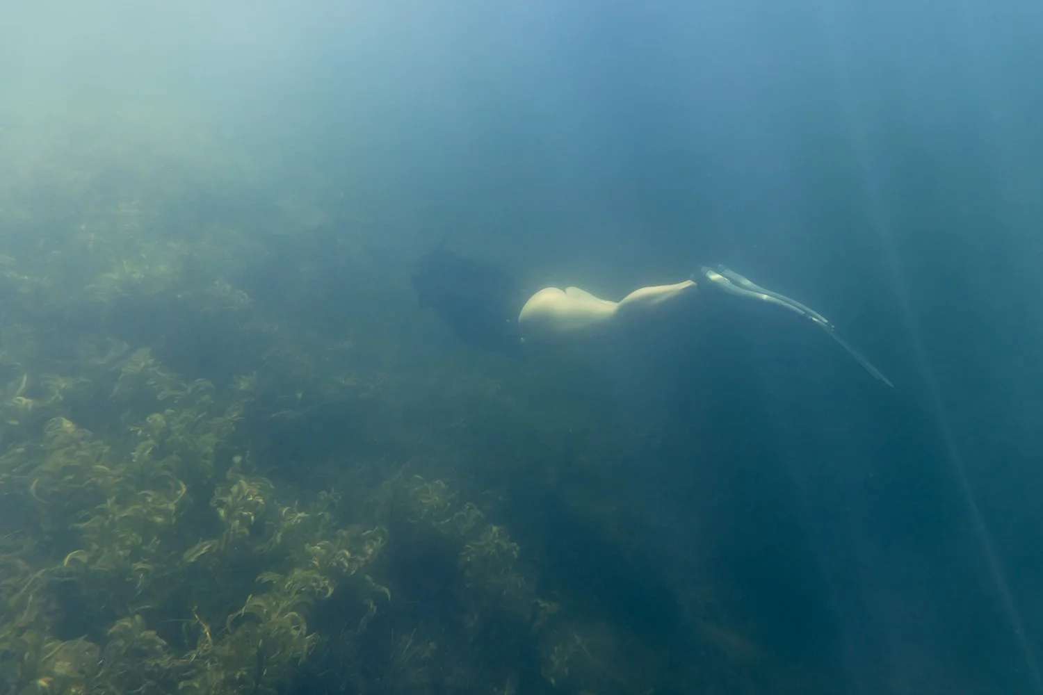 Freediving — Ben Girardi Photography