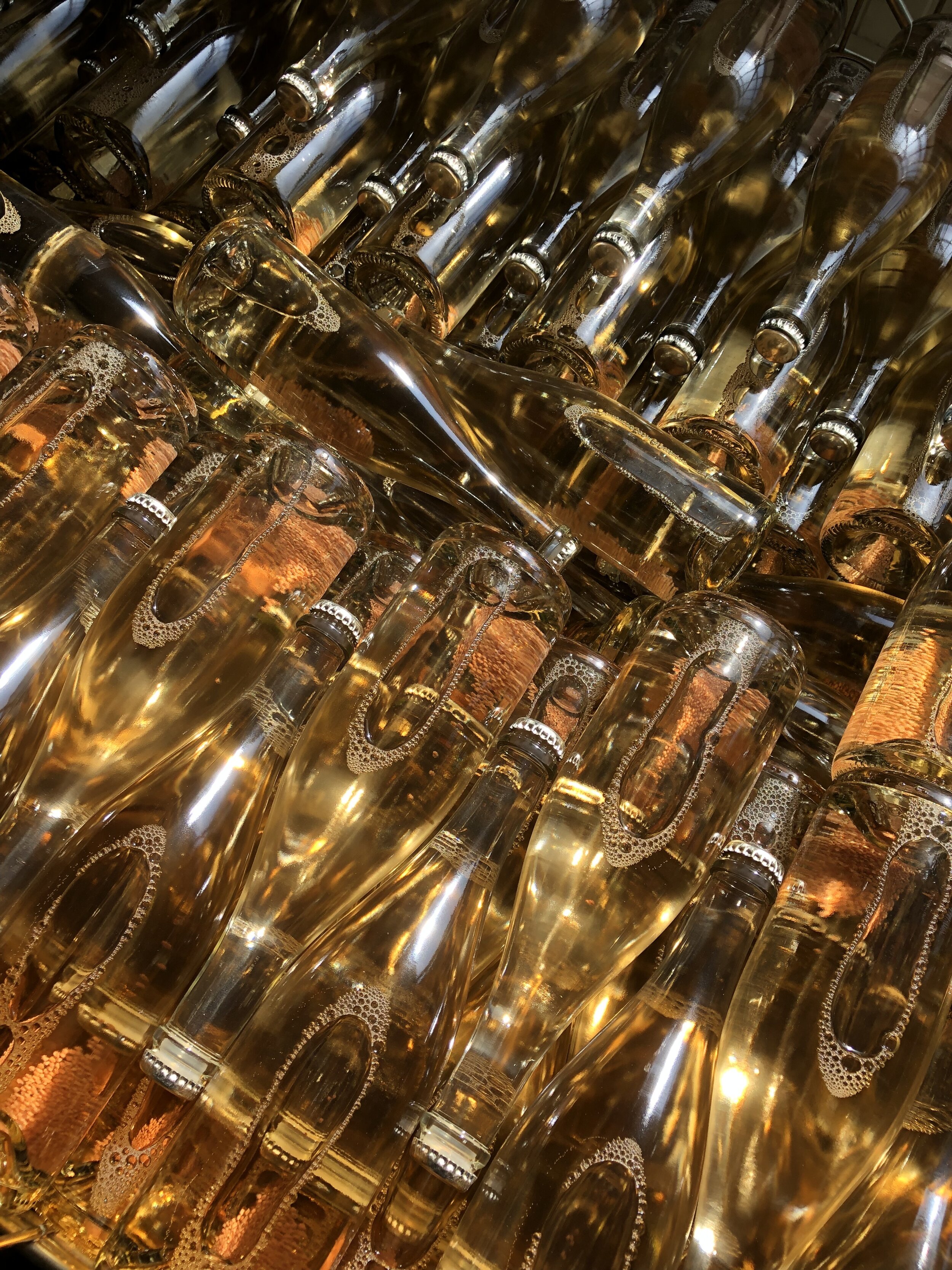 How to Taste Wine: Part 2 — Vibrant Travelers