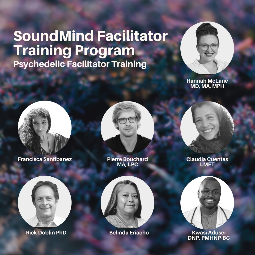 SoundMind Institute