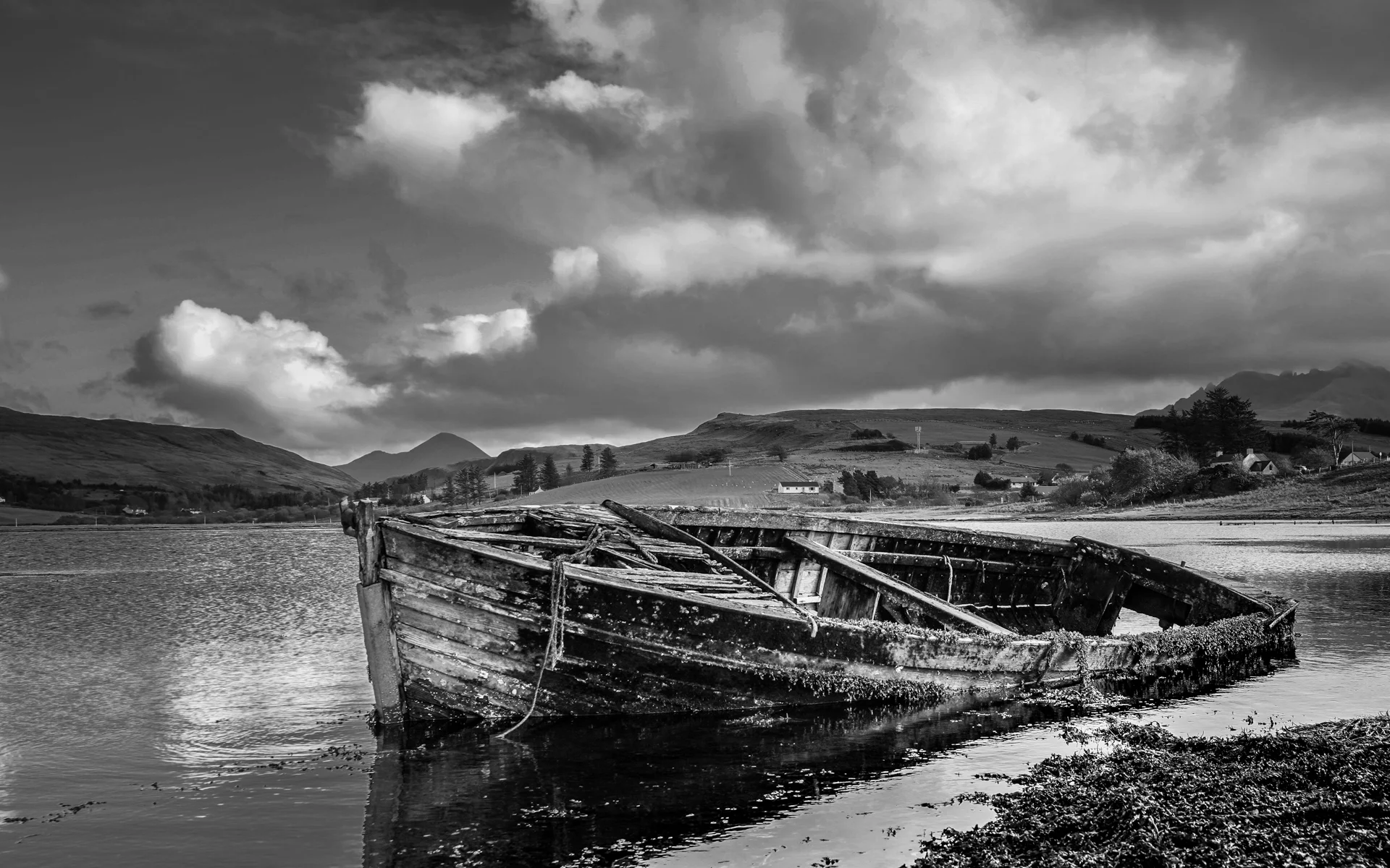 Mono 19 — IVANHOE PHOTOGRAPHIC