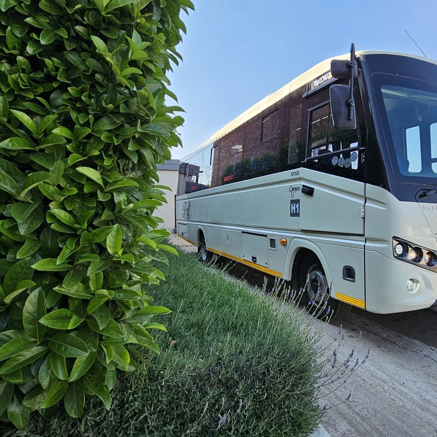 Pal Bus Services | Bus Hire