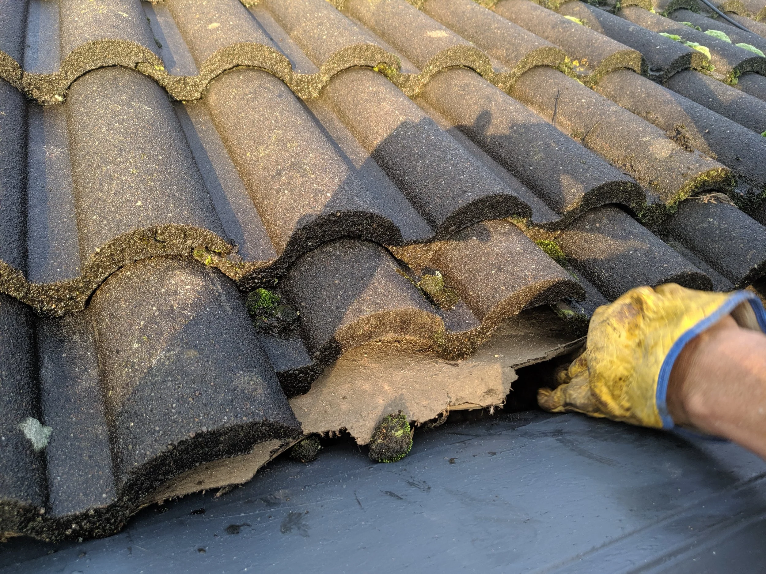 Underlay Support Trays — Thompson Roofing & Building Maintenance