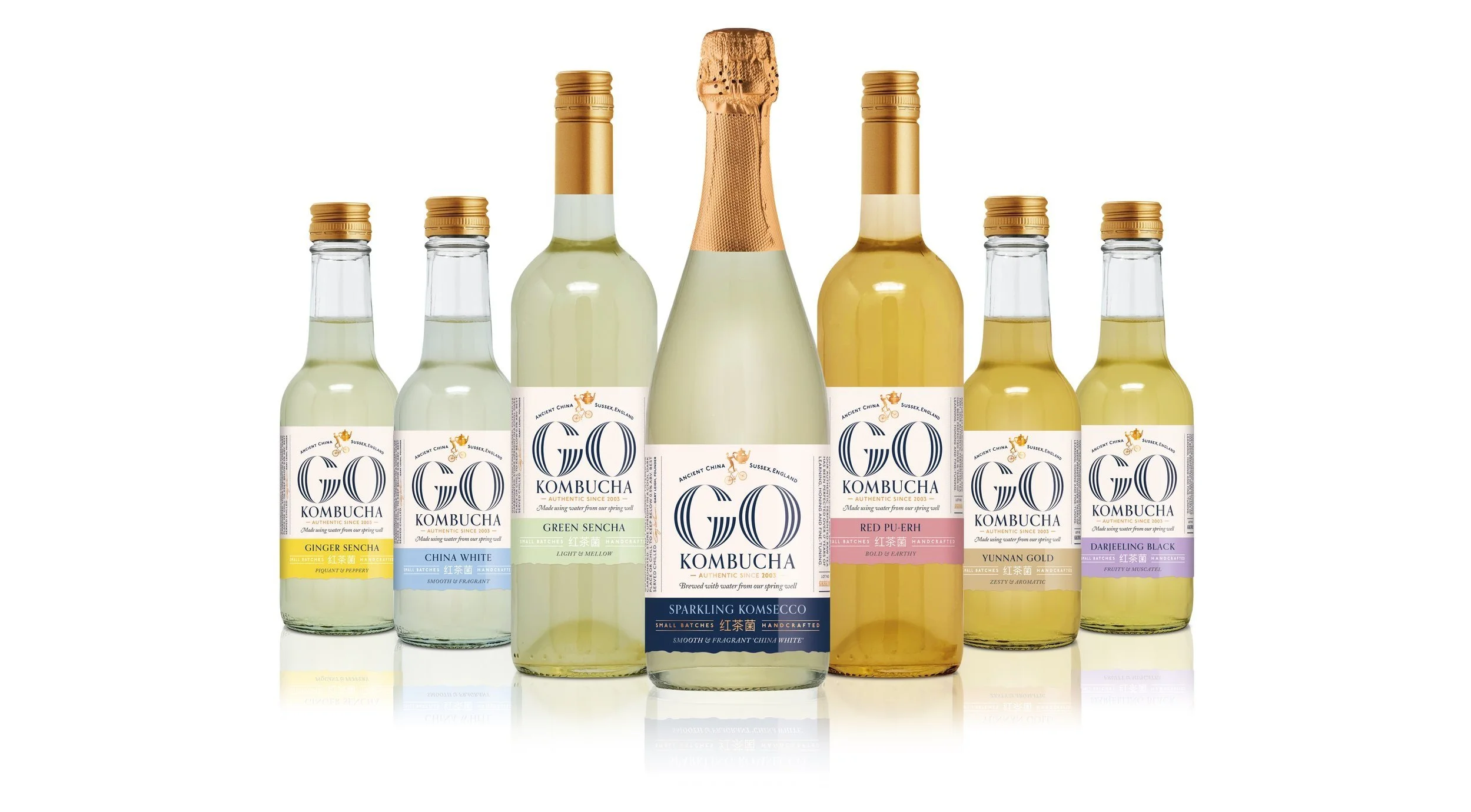 GO Kombucha