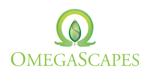 OmegaScapes