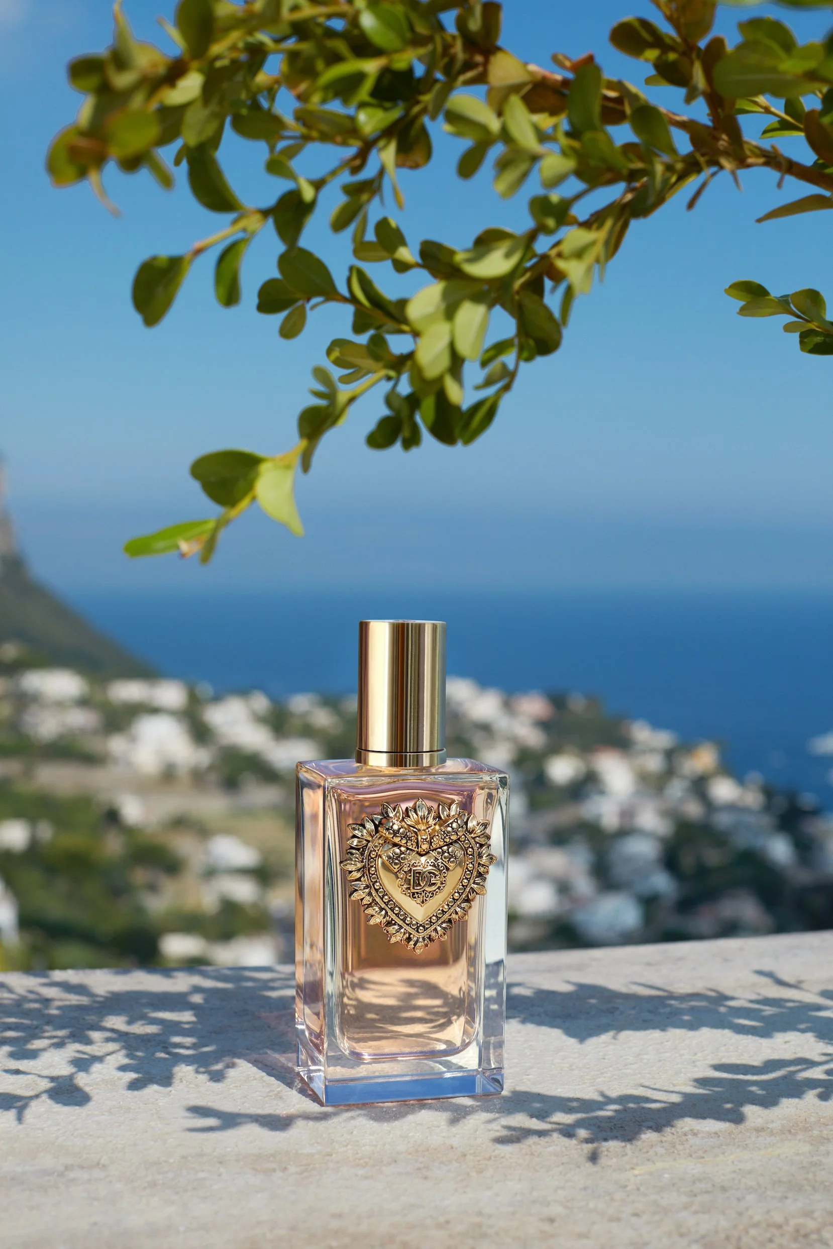 The D&G's new Devotion — Dossier Magazine