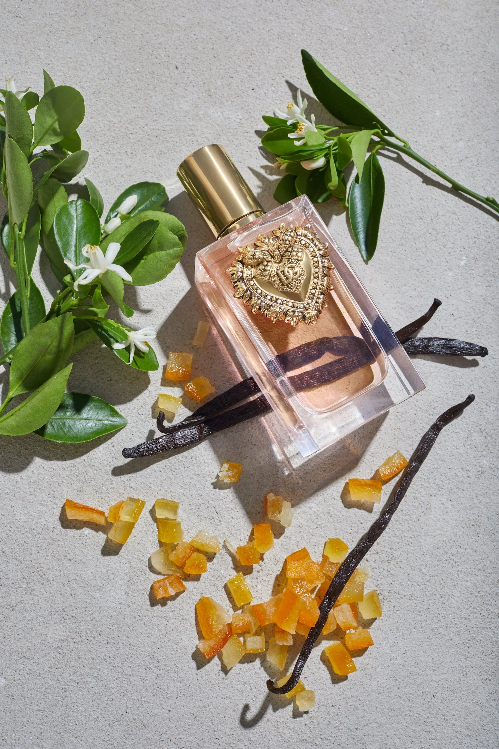 The D&G's new Devotion — Dossier Magazine