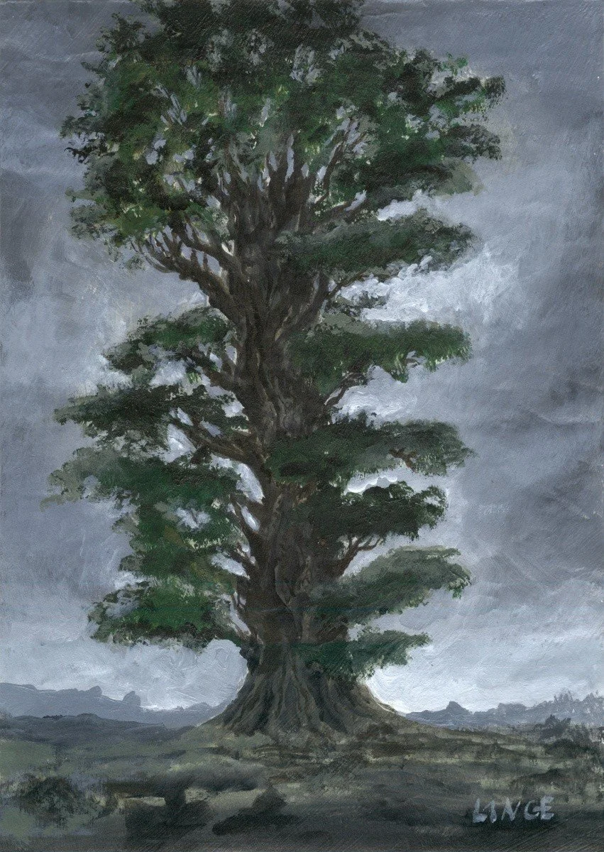 The Big Trees — The Tiger Moth Review