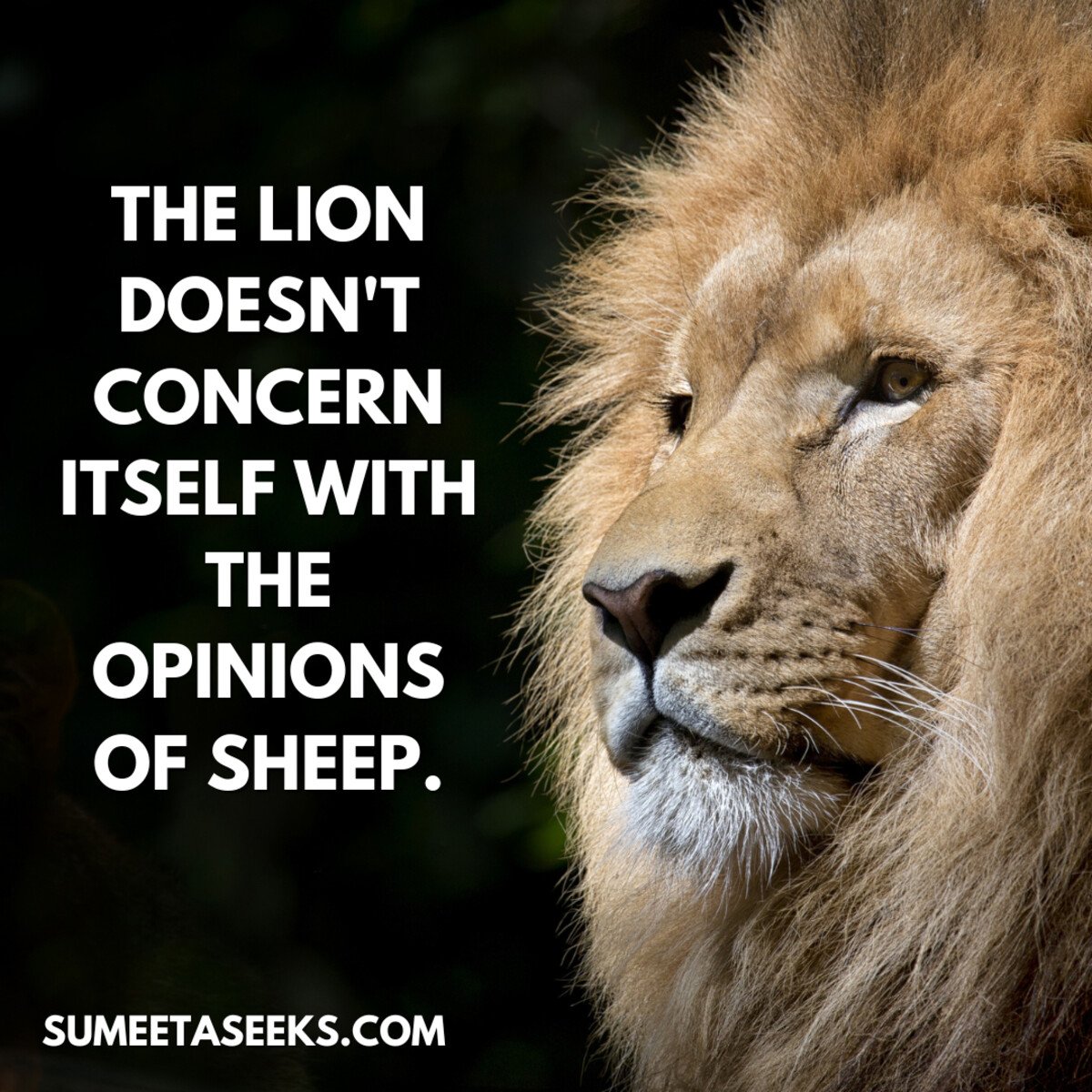 101 Funny Self-Love Quotes for a Happier You