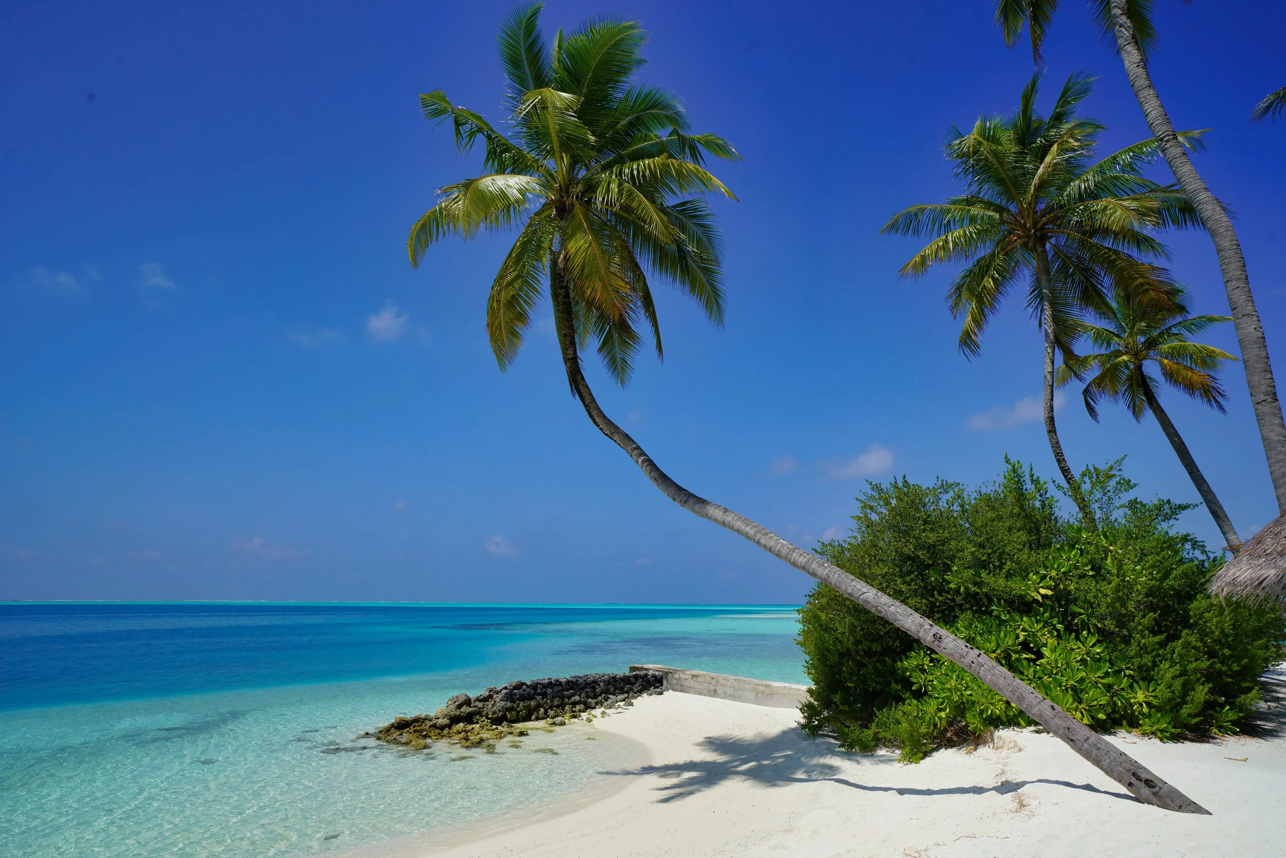 Tropical Vacation Packing List: What to Pack for a Perfect Getaway in 2025