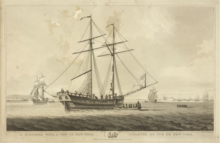 “Not only distressing but truly alarming”: New York City and the ...