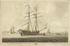 “Not only distressing but truly alarming”: New York City and the ...