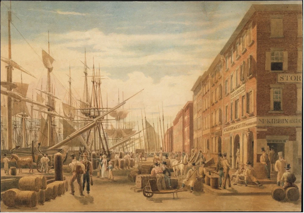 “Not only distressing but truly alarming”: New York City and the ...
