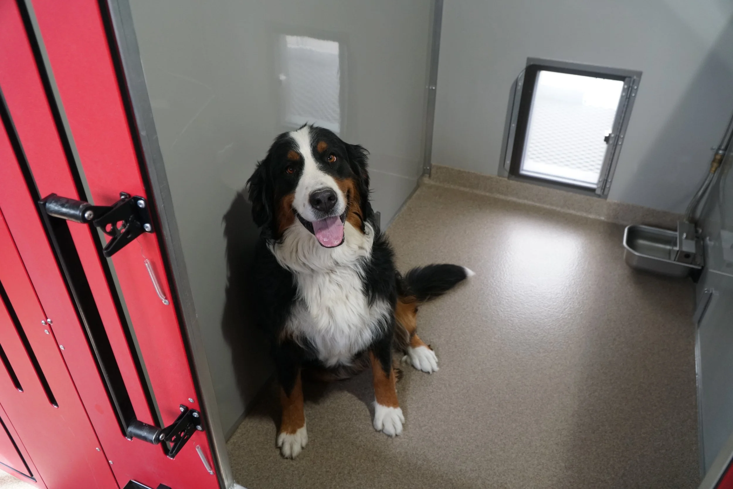 Our Facility — Hoosier Canines