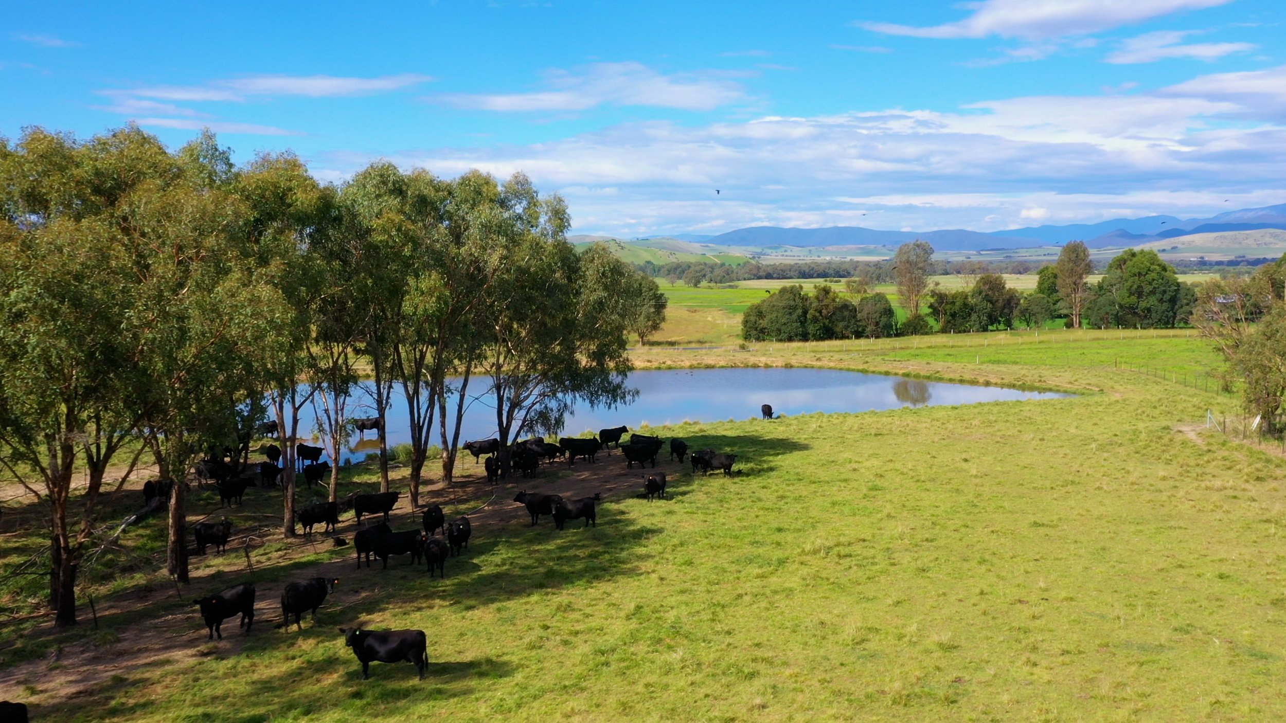 Carbon Farming Australia | Carbon Credits for Farmers | AgriProve