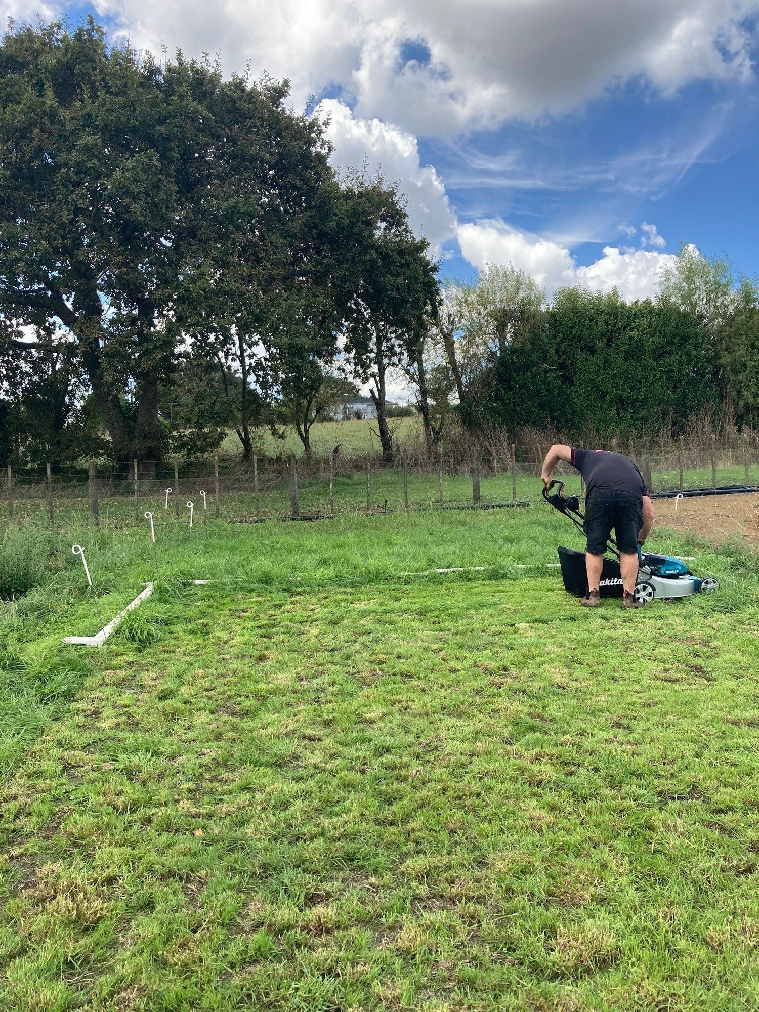 Pilot Plant & Digestate Trials — Ecogas