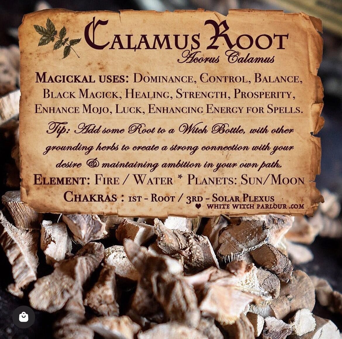 Divination tool — Harry's World South St.