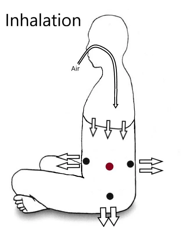 Normal Abdominal Breathing - Qigong & Neigong — Water Dragon Arts