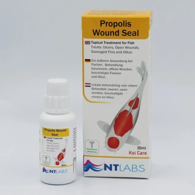 Propolis Wound Seal for Fish — Pond Hobby Ltd - Water Gardening Specialists
