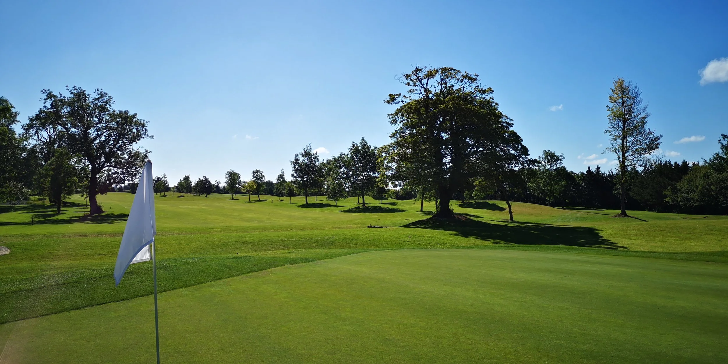 Roganstown & Swords Golf Clubs