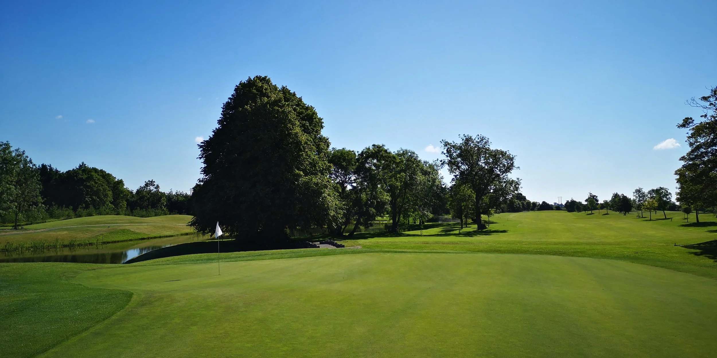 Roganstown & Swords Golf Clubs