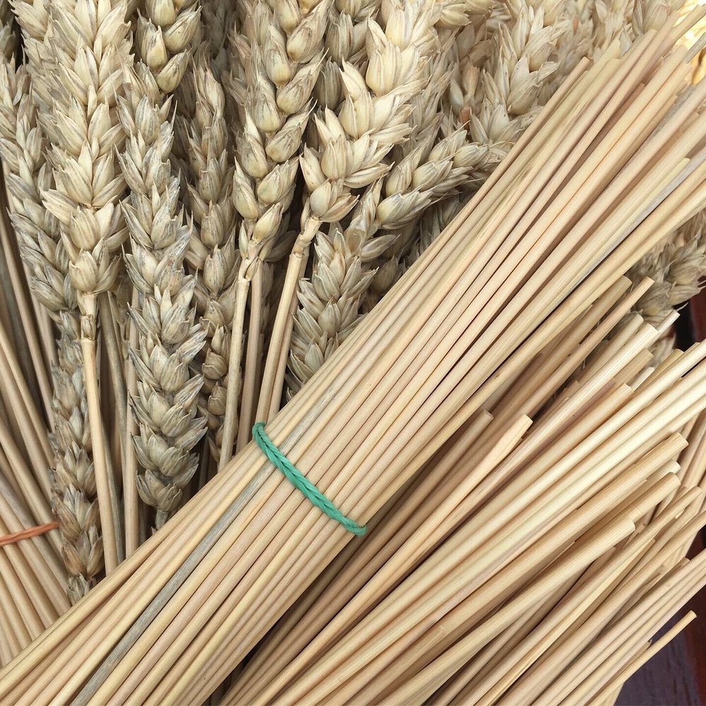 Buuying, Storing and Preparing Straw — Hat Plait