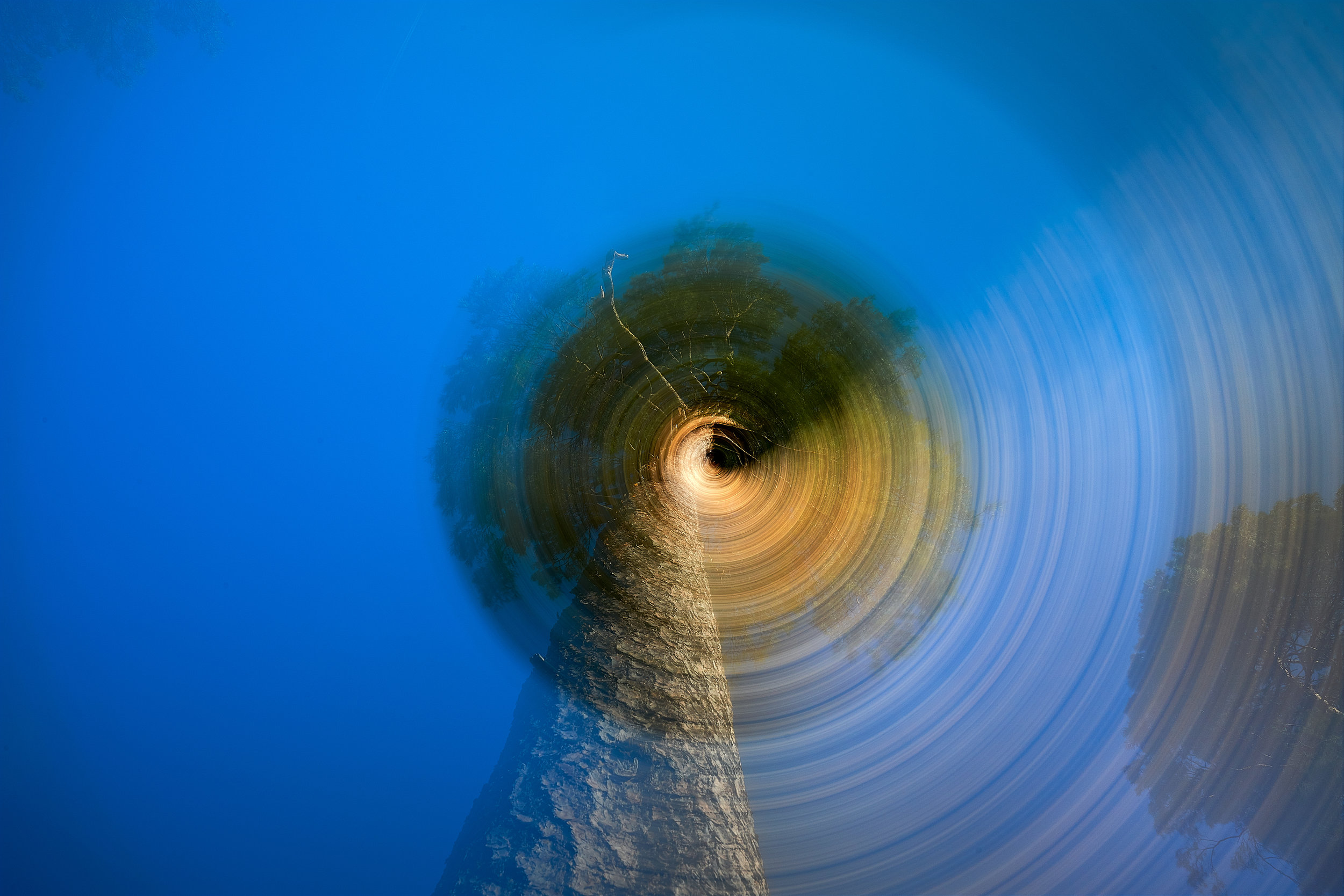 Abstract Motion Photography - Wall Art | Simephotography | Photographer ...