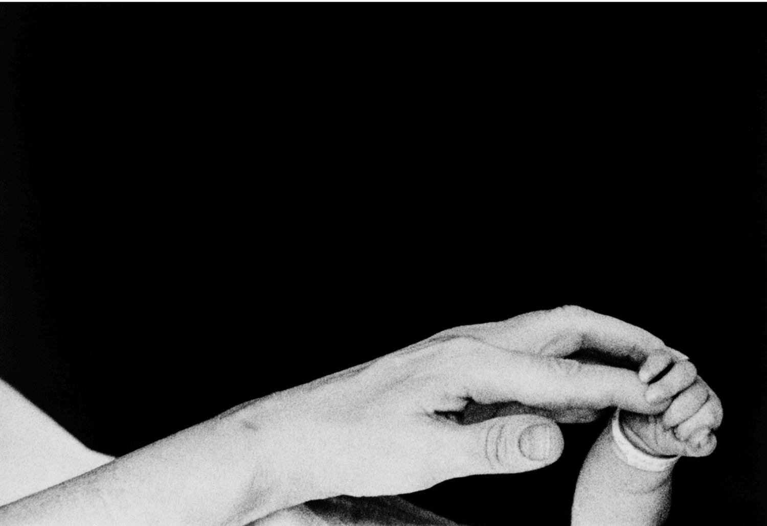 The Iconic images and photography of — Eve Arnold