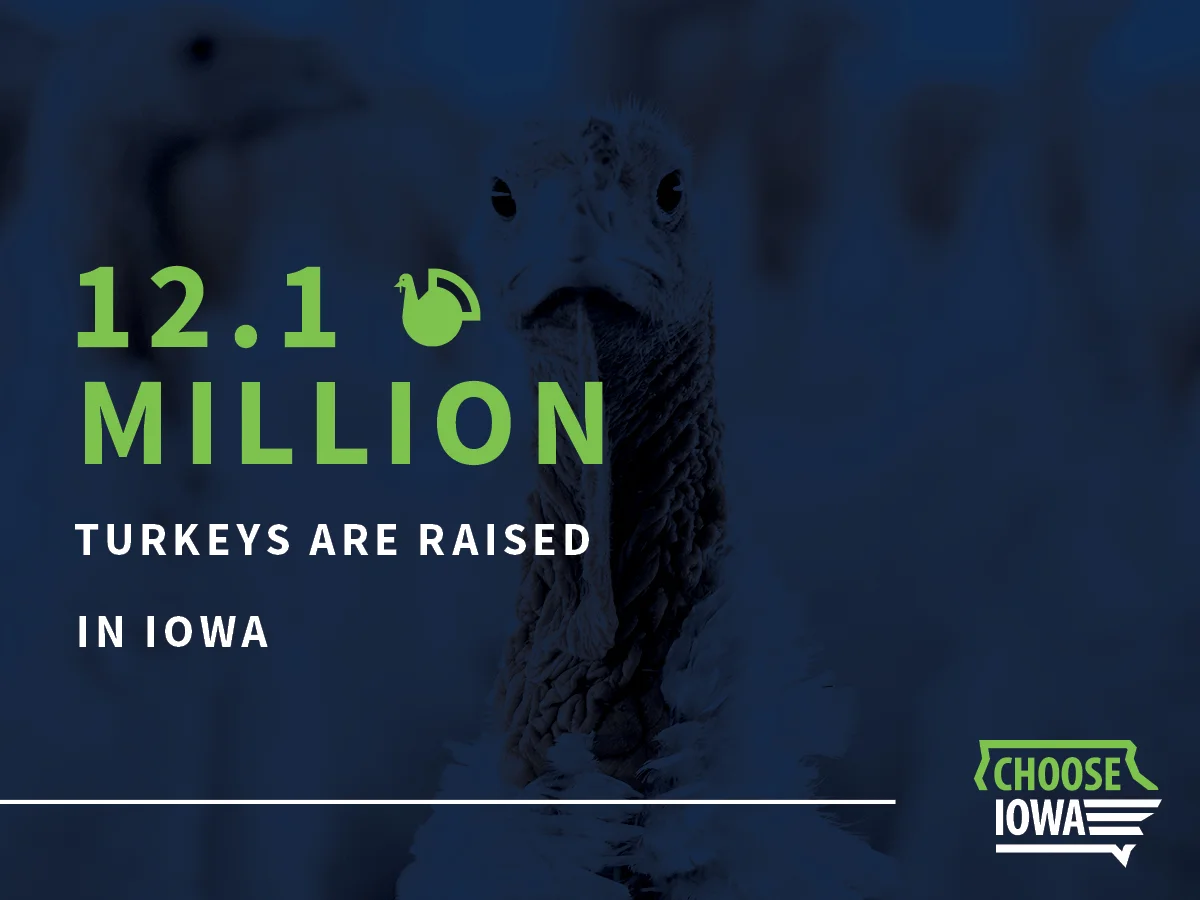 Choose Iowa