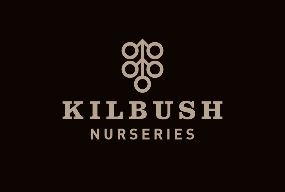 Kilbush Tomatoes — Brandcentral