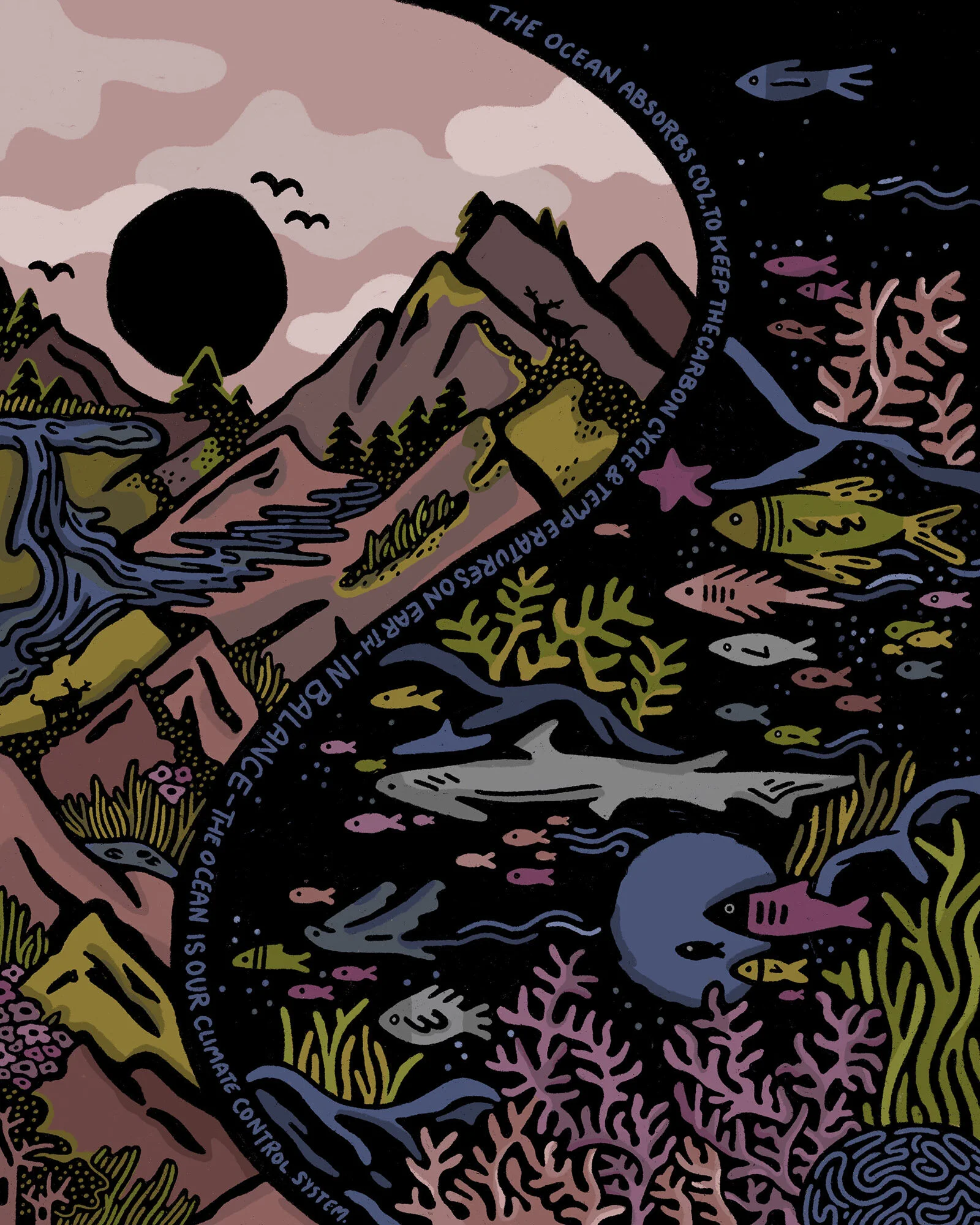 Adobe x Ocean Agency — kelly malka