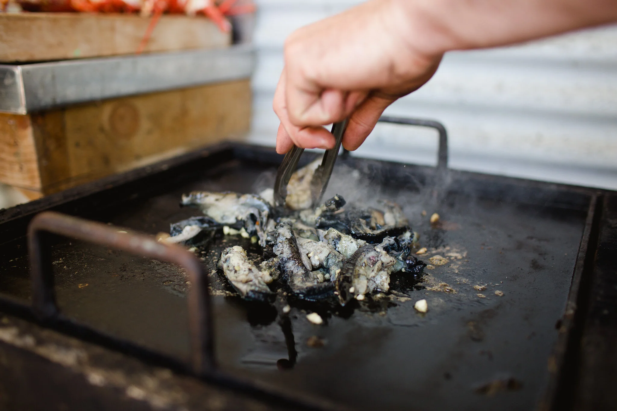 Tora Collective — BLOG