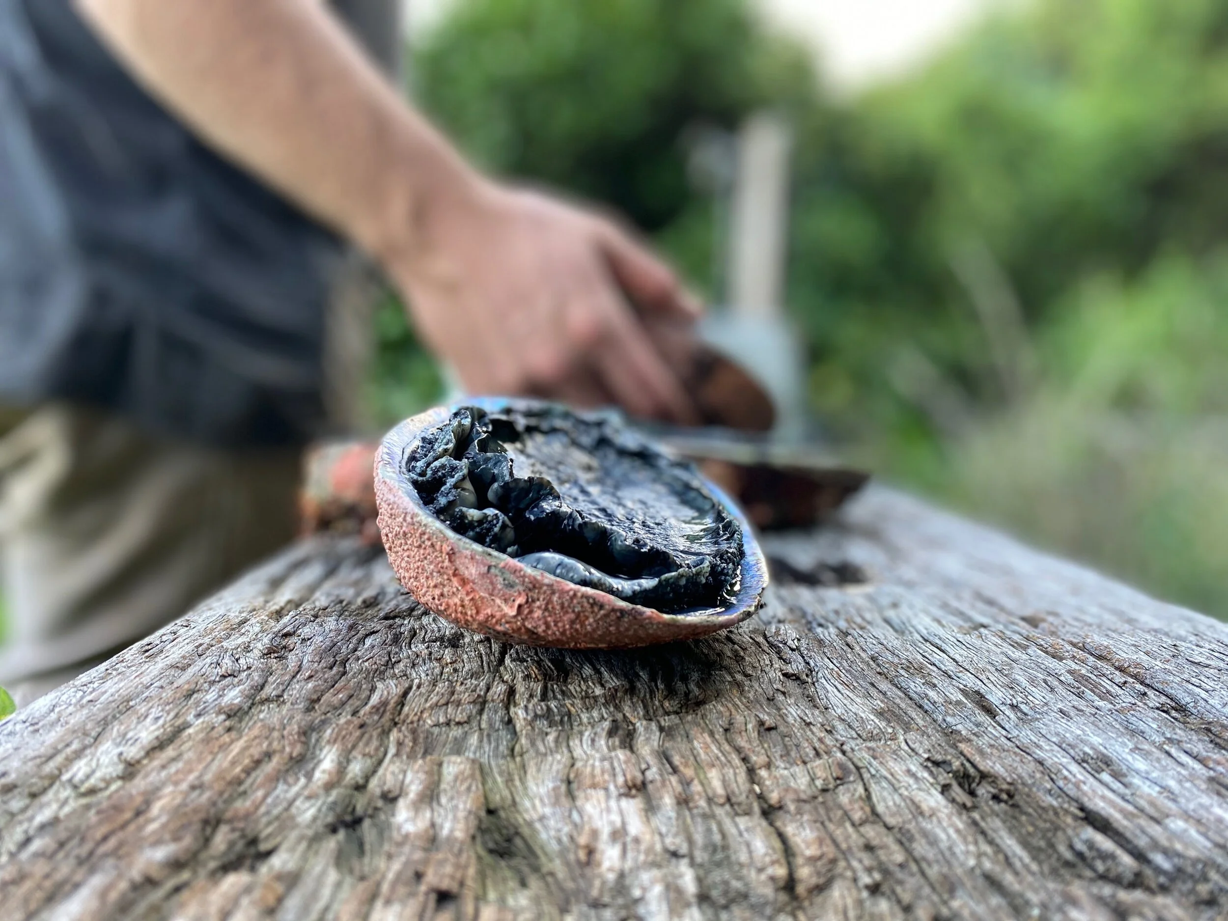 How To Prepare Paua — Tora Collective