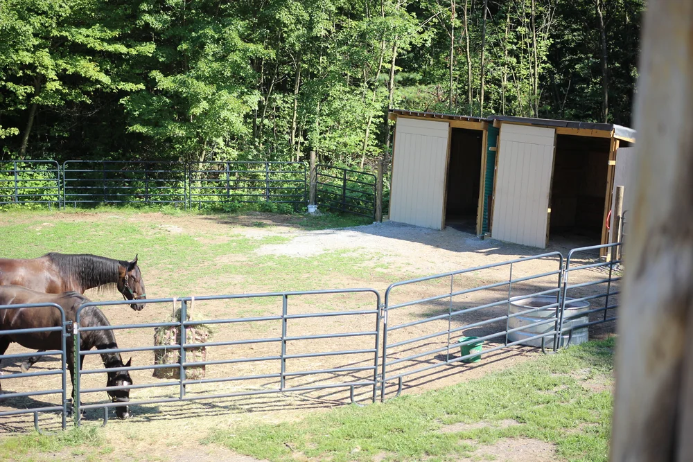 Be WELL at Black Barn Farm, LLC