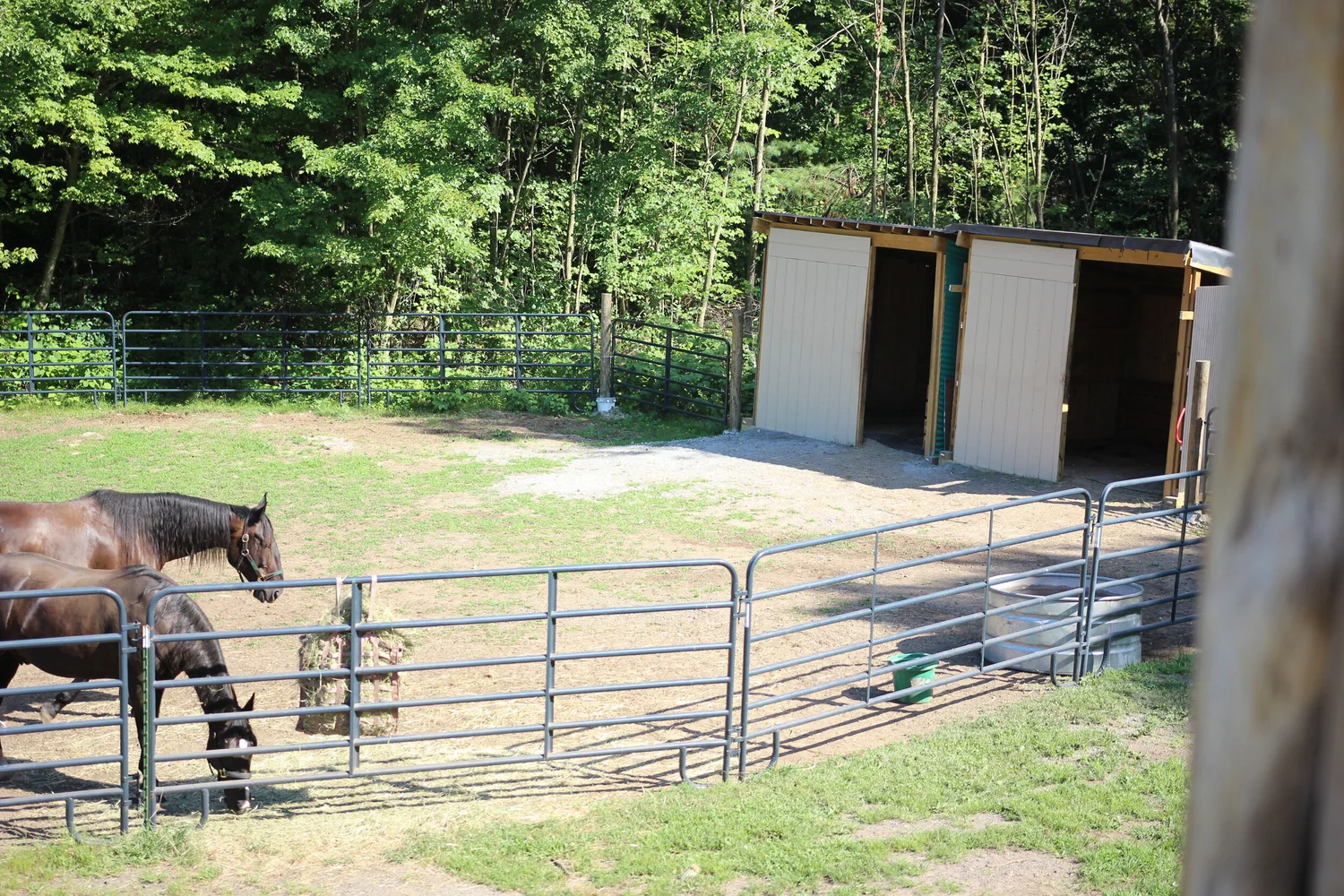 Be WELL at Black Barn Farm, LLC