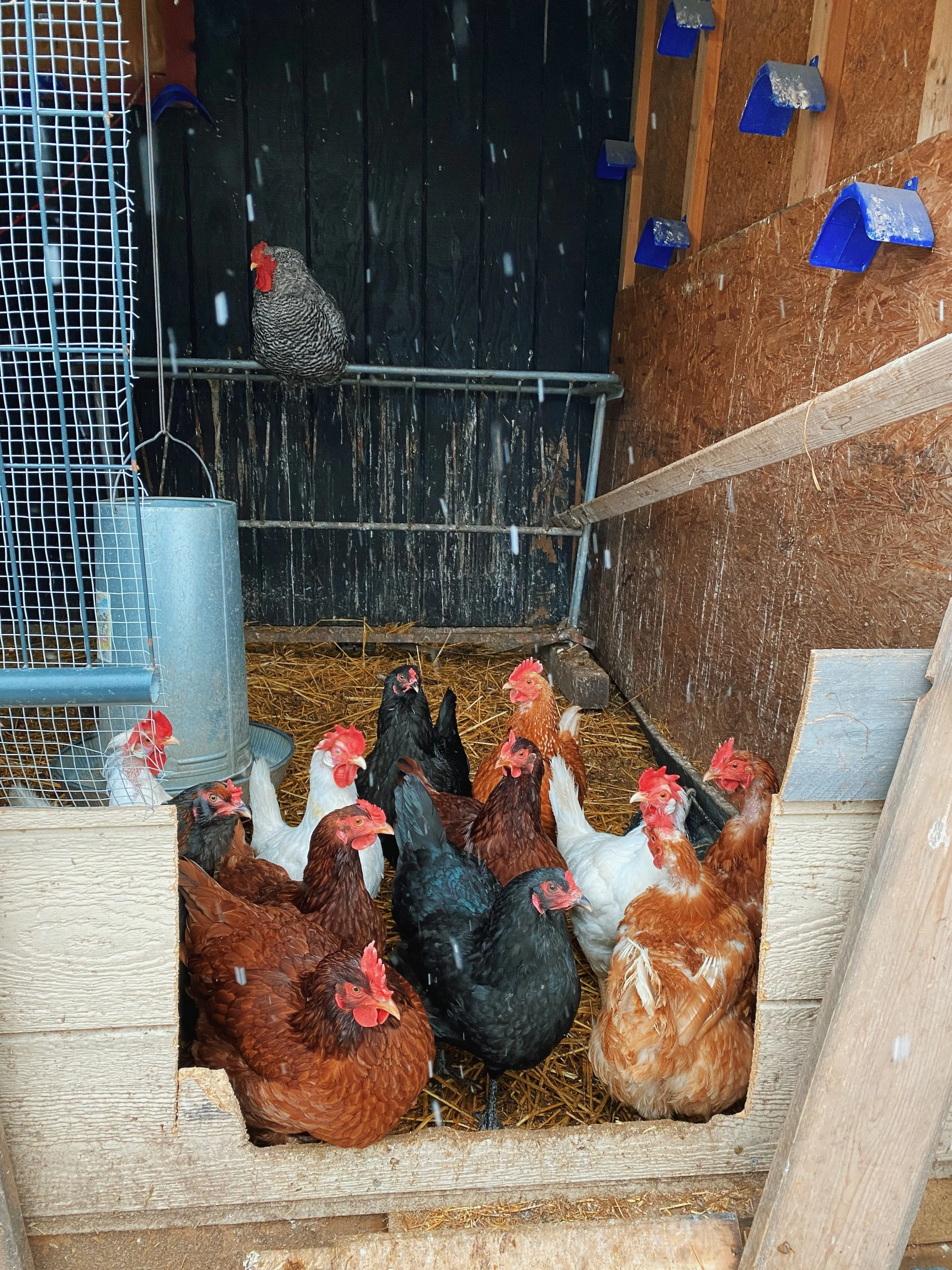 VIRTUAL TOUR — Be WELL at Black Barn Farm, LLC